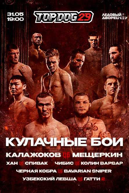TOP DOG FIGHTING CHAMPIONSHIP 29 - Ледовый дворец